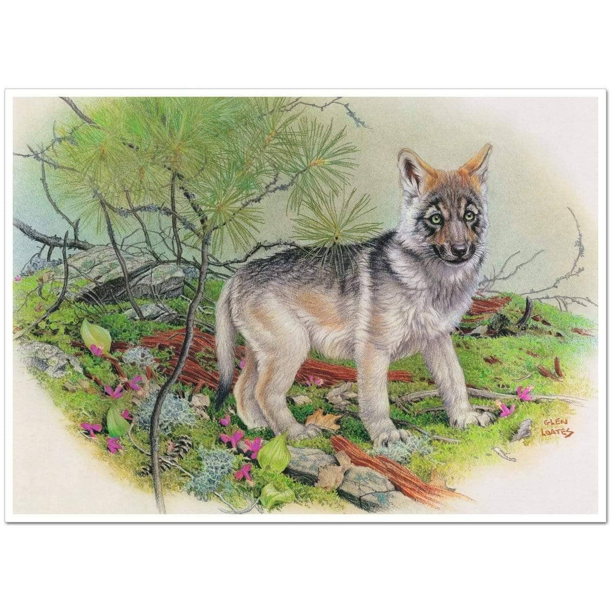 wolf pups art