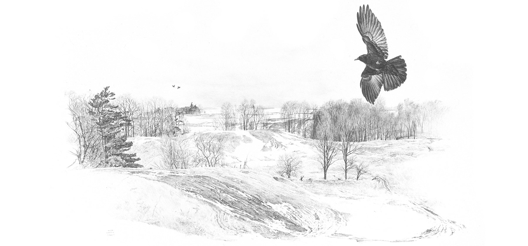 Glen Loates Biography - The Glen Loates Gallery