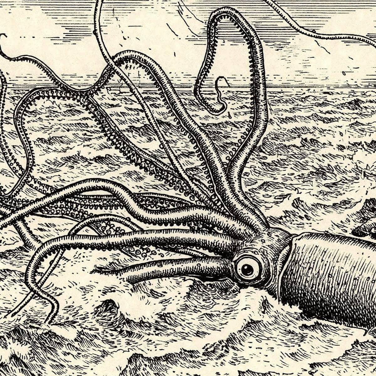 Giant Squid Wanted Poster by Glen Loates - The Glen Loates Gallery