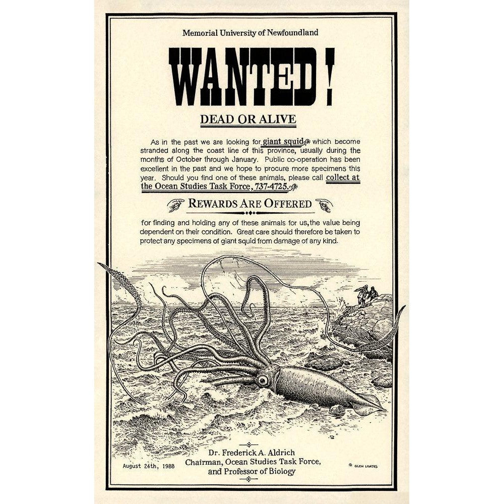 Giant Squid Wanted Poster by Glen Loates - The Glen Loates Gallery