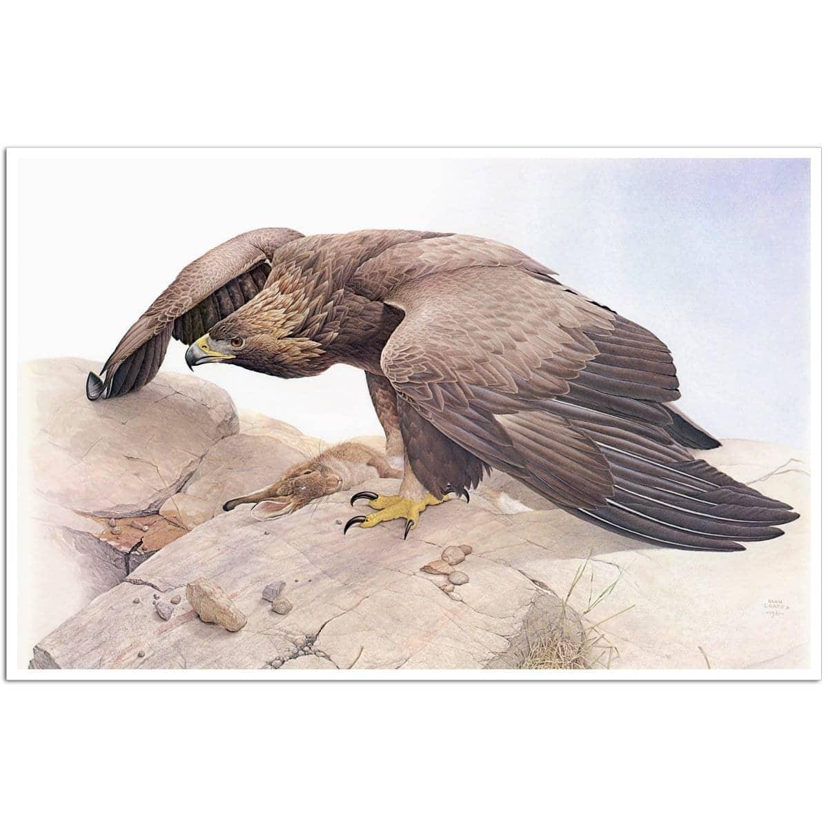 Golden Eagle - Art Print by Glen Loates - The Glen Loates Gallery