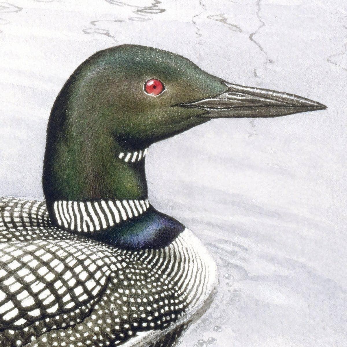 loon artwork