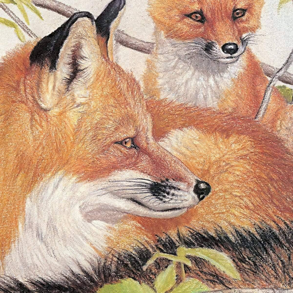 Red Fox and Kits - Art Print by Glen Loates - The Glen Loates Gallery