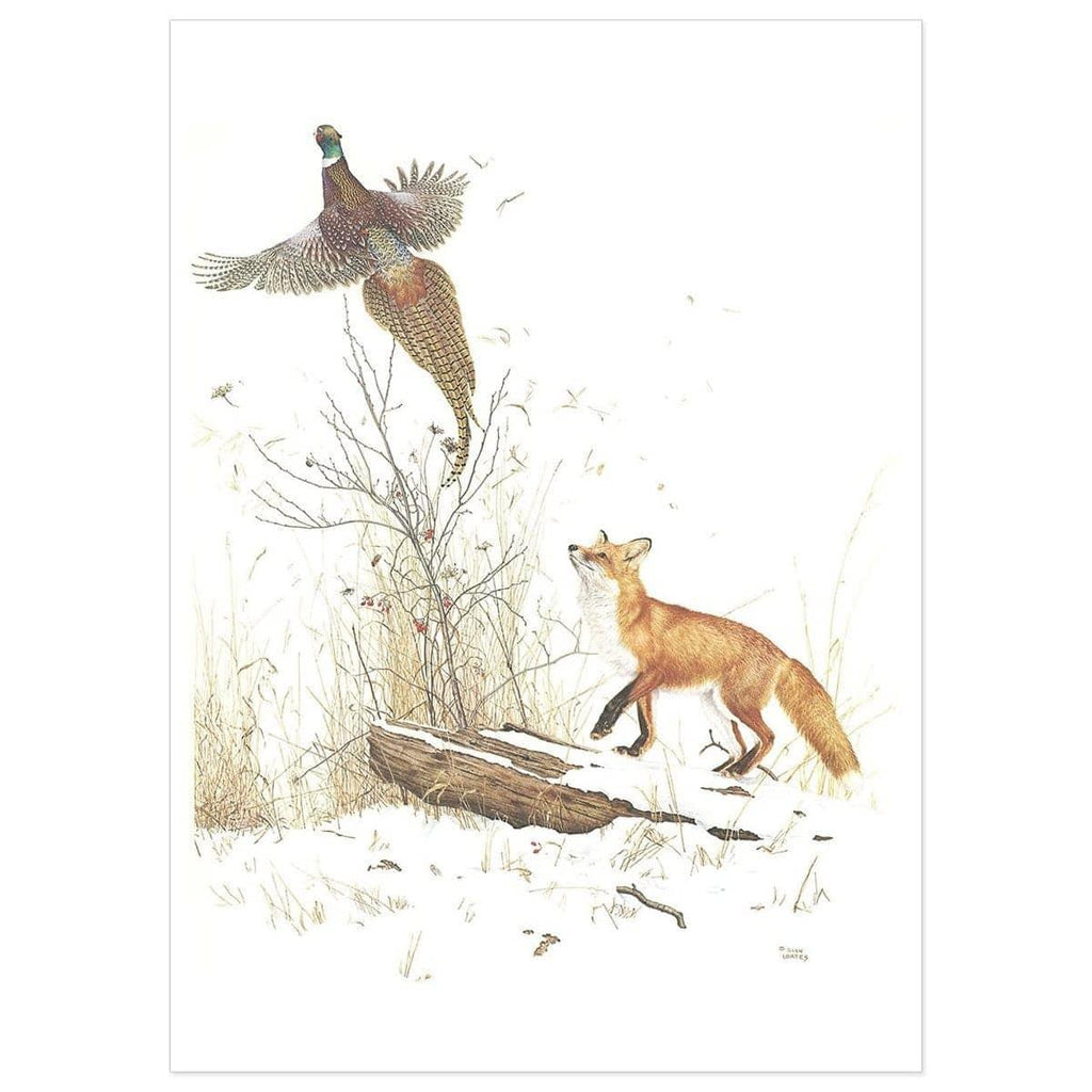 fox and pheasant