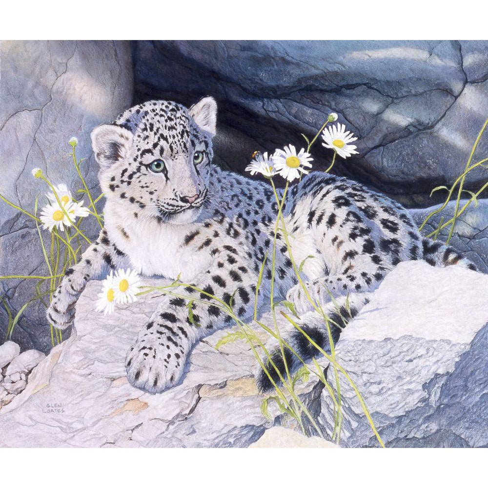 snow leopard canvas